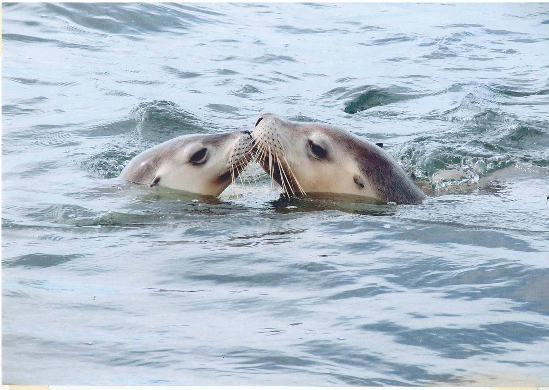 Scenic Drives & Trails | Streaky Bay | Official Tourism Website