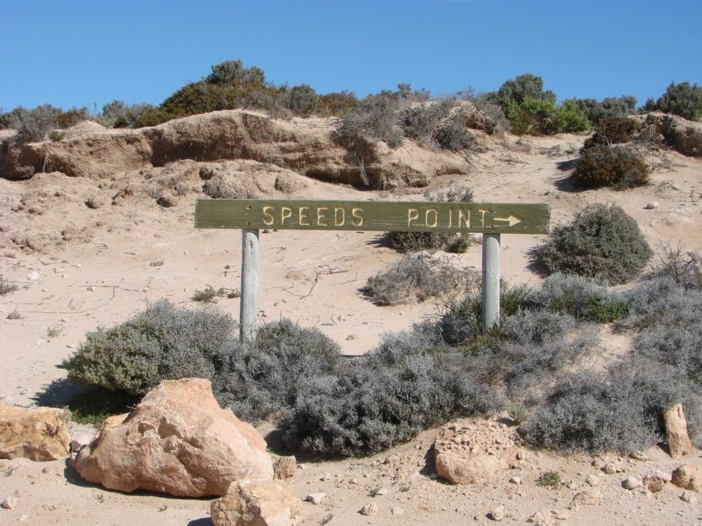 Speeds Point Camping Area | Streaky Bay | Official Tourism Website