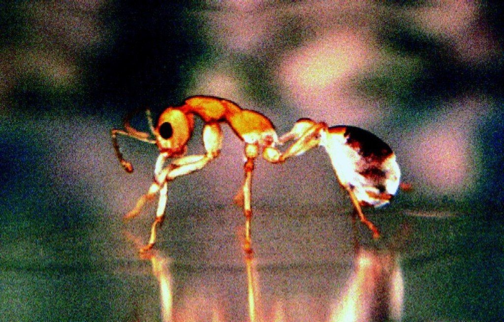 POOCHERA MUSEUM - Streaky Bay | Official Tourism Website